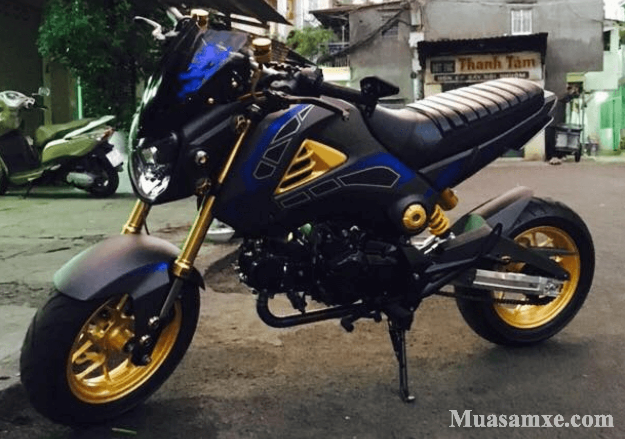 Hình ảnh Honda MSX 125 với kiểu dáng độc lạ - MuasamXe.com